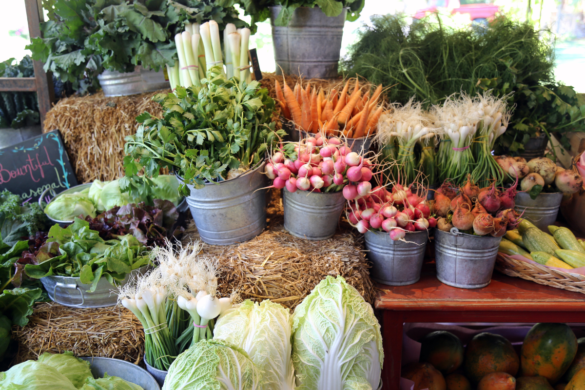 The top 5 reasons to eat local and seasonal in 2025 - My Climate Plan